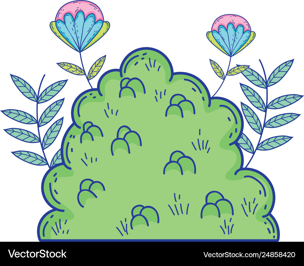 Bush garden with flowers Royalty Free Vector Image