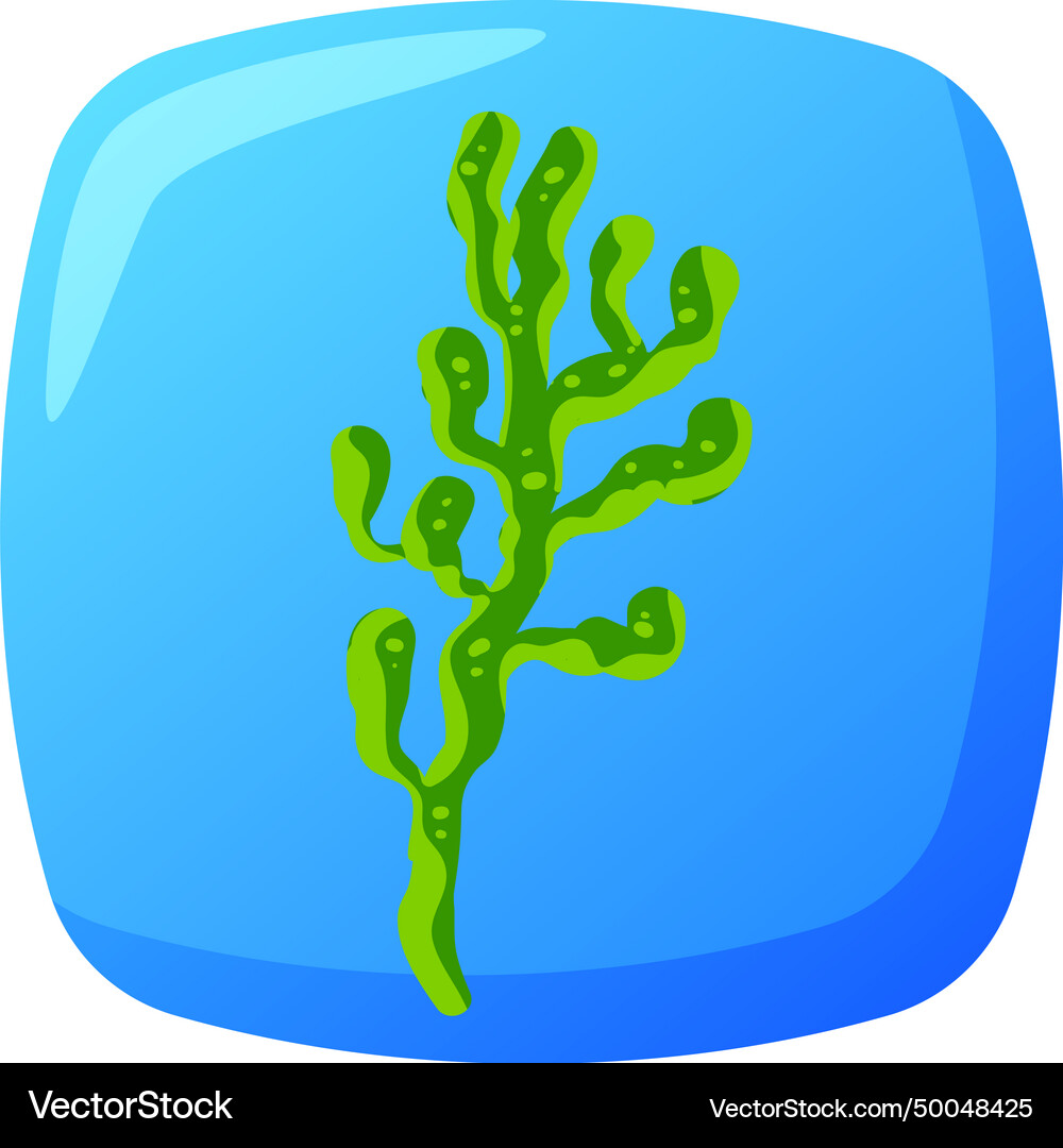 Cartoon green algae underwater in blue background Vector Image