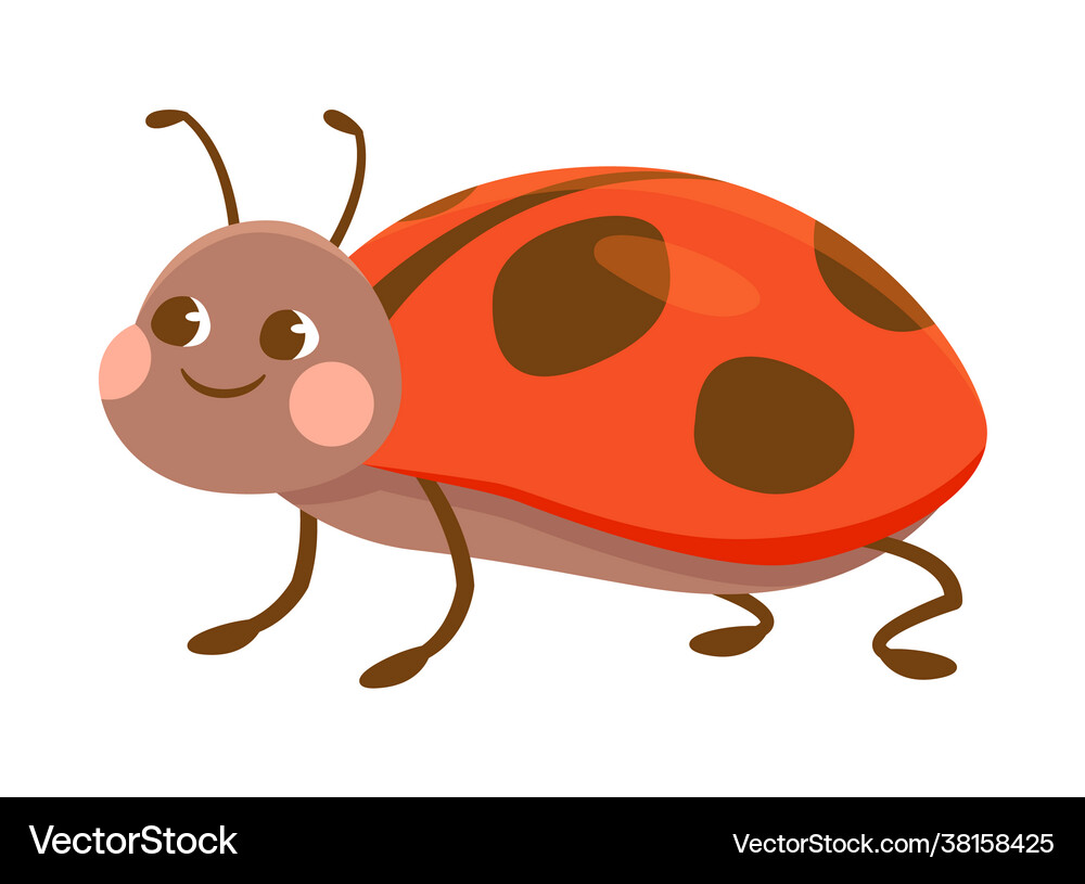 Cute smiling colorful ladybug on white background Vector Image