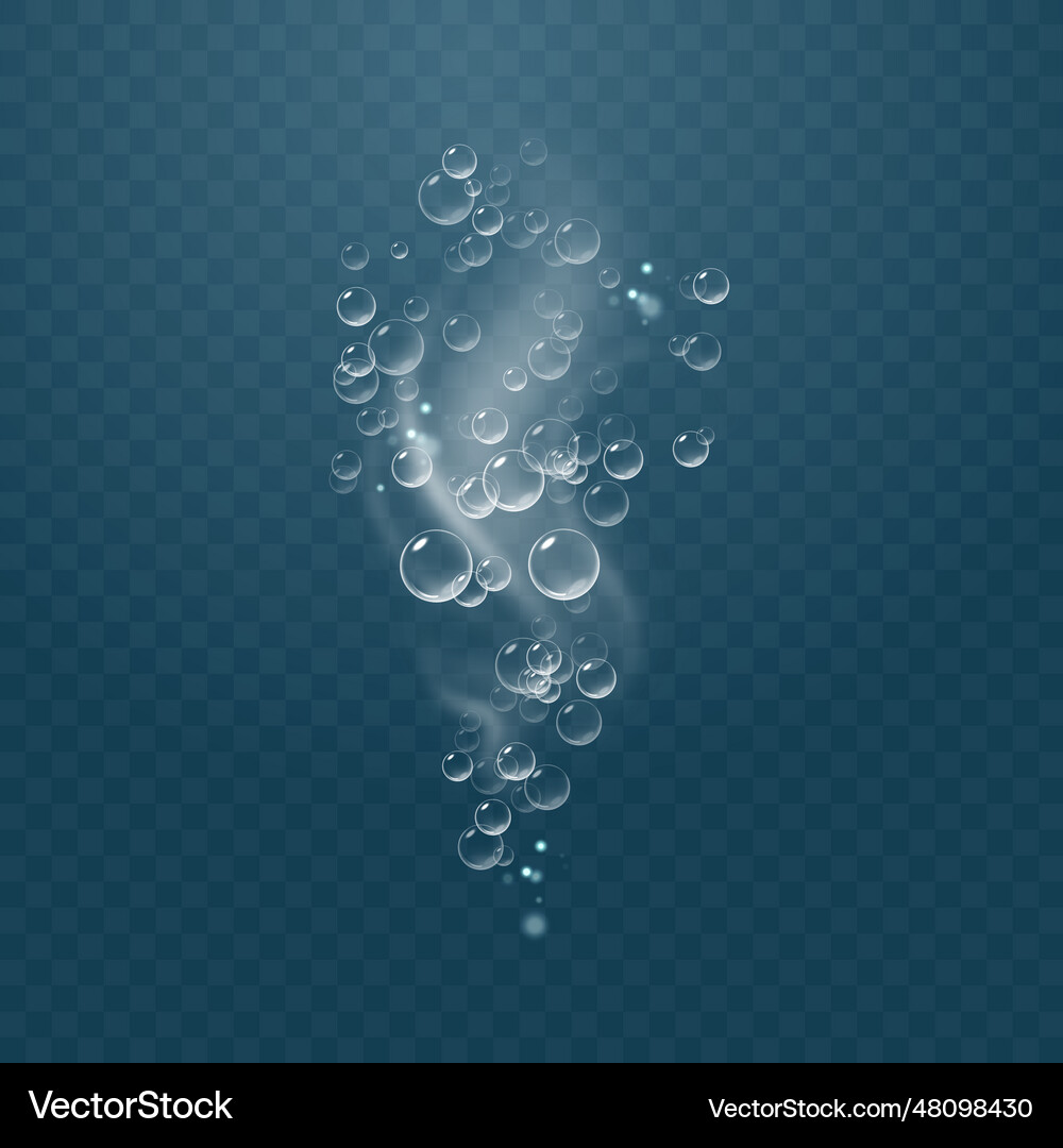 Realistic sparkling air bubbles in water bubbles Vector Image