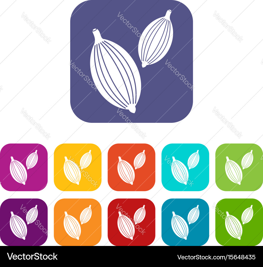 Cardamom pods icons set flat Royalty Free Vector Image