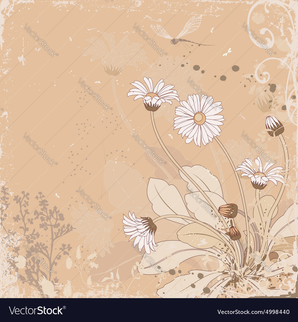 Daisy Royalty Free Vector Image - VectorStock
