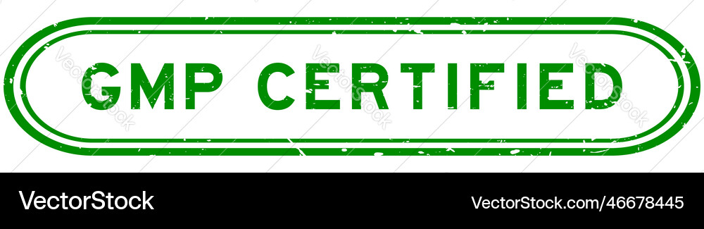 Grunge green gmp good manufacturing practice Vector Image