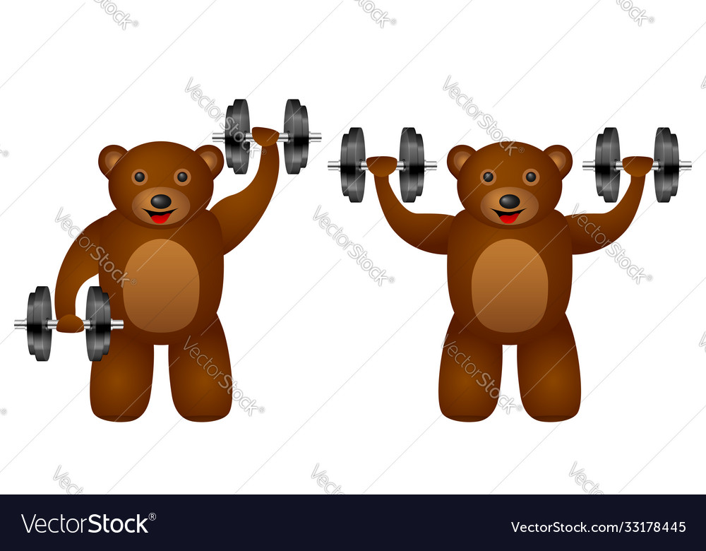 Training bear set Royalty Free Vector Image - VectorStock