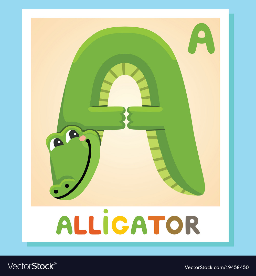 A is for alligator letter animal Royalty Free Vector Image