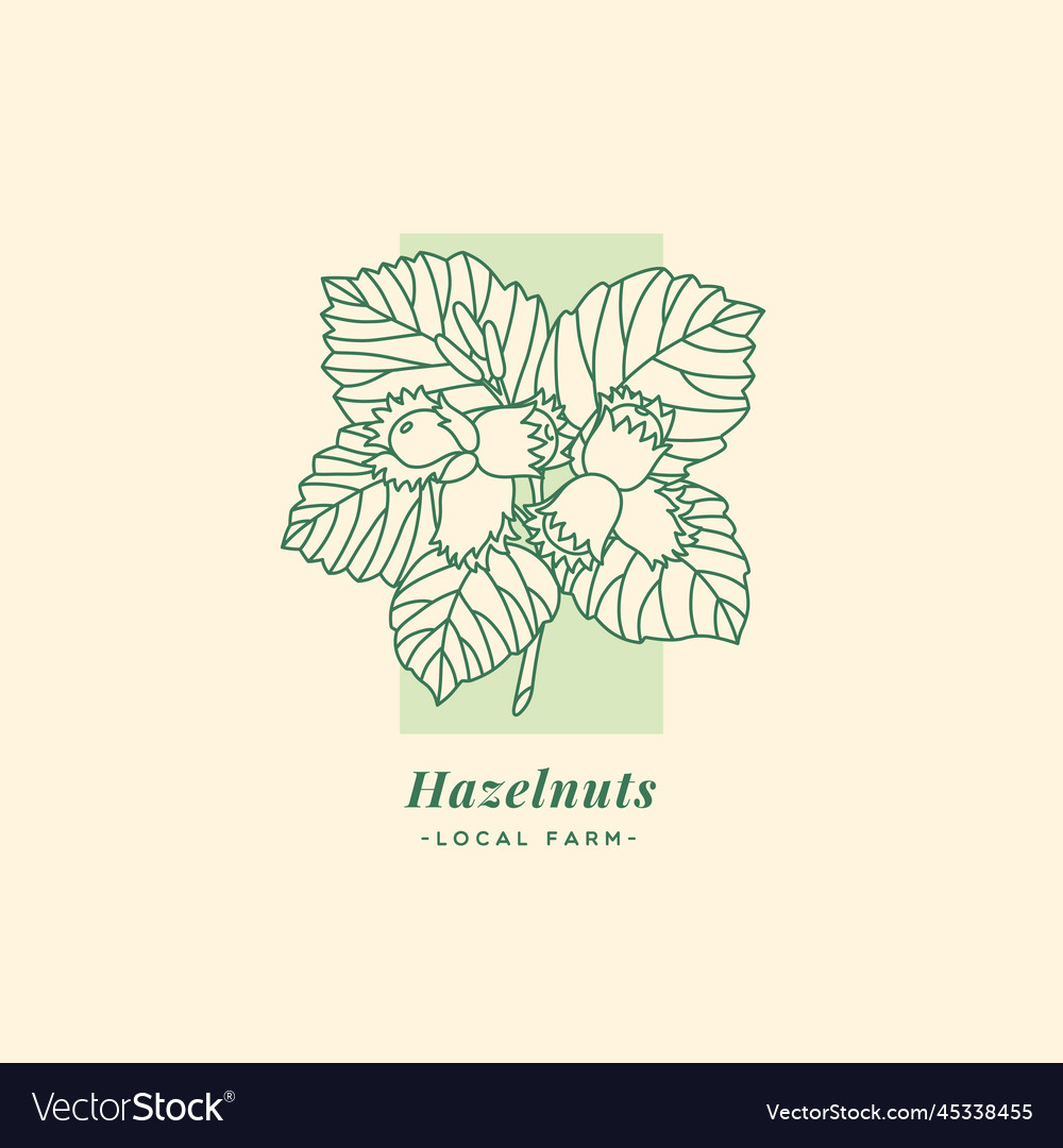 Hazelnuts label Royalty Free Vector Image - VectorStock