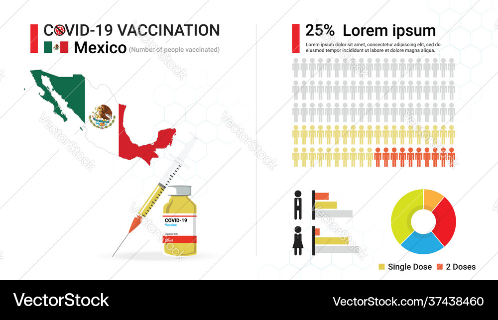 Covid19-19 vaccination infographic Royalty Free Vector Image