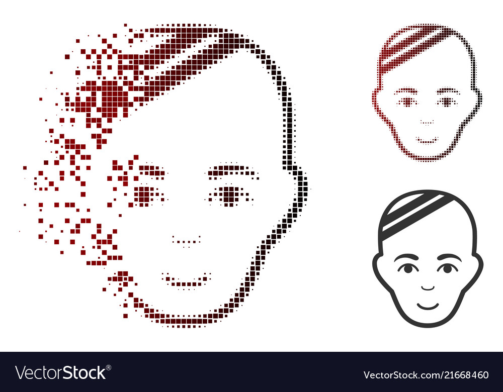 Fragmented Patient Icon Royalty Free Vector Image