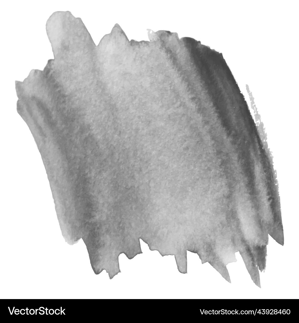 Grayscale abstract watercolor background Vector Image