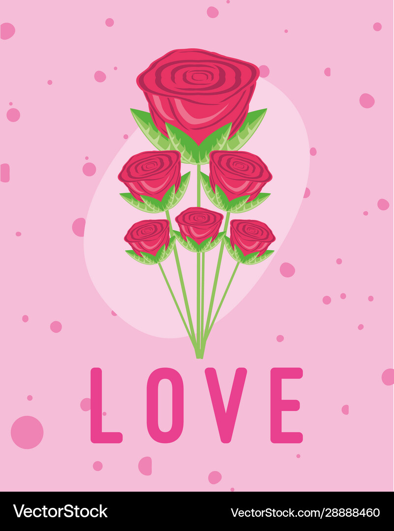 Love roses flowers design Royalty Free Vector Image