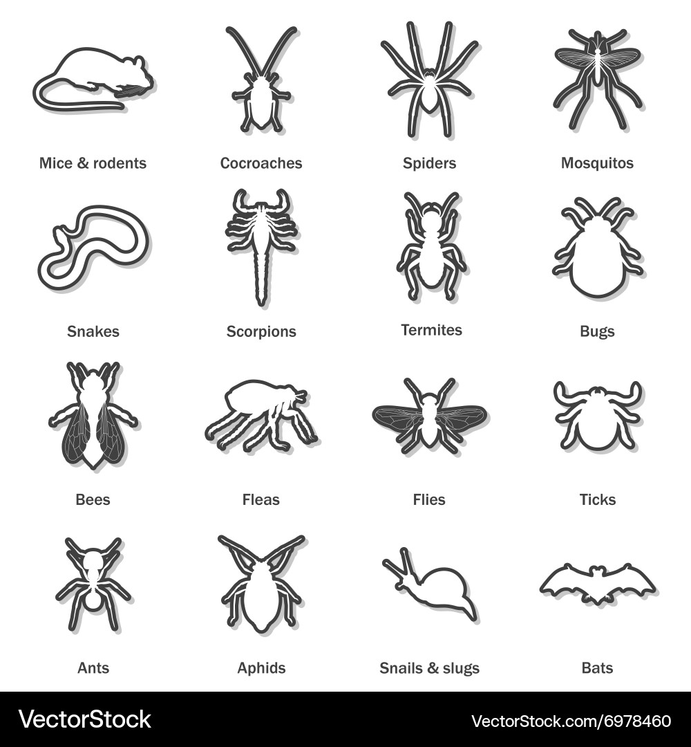 Pest and insect control icons set Royalty Free Vector Image