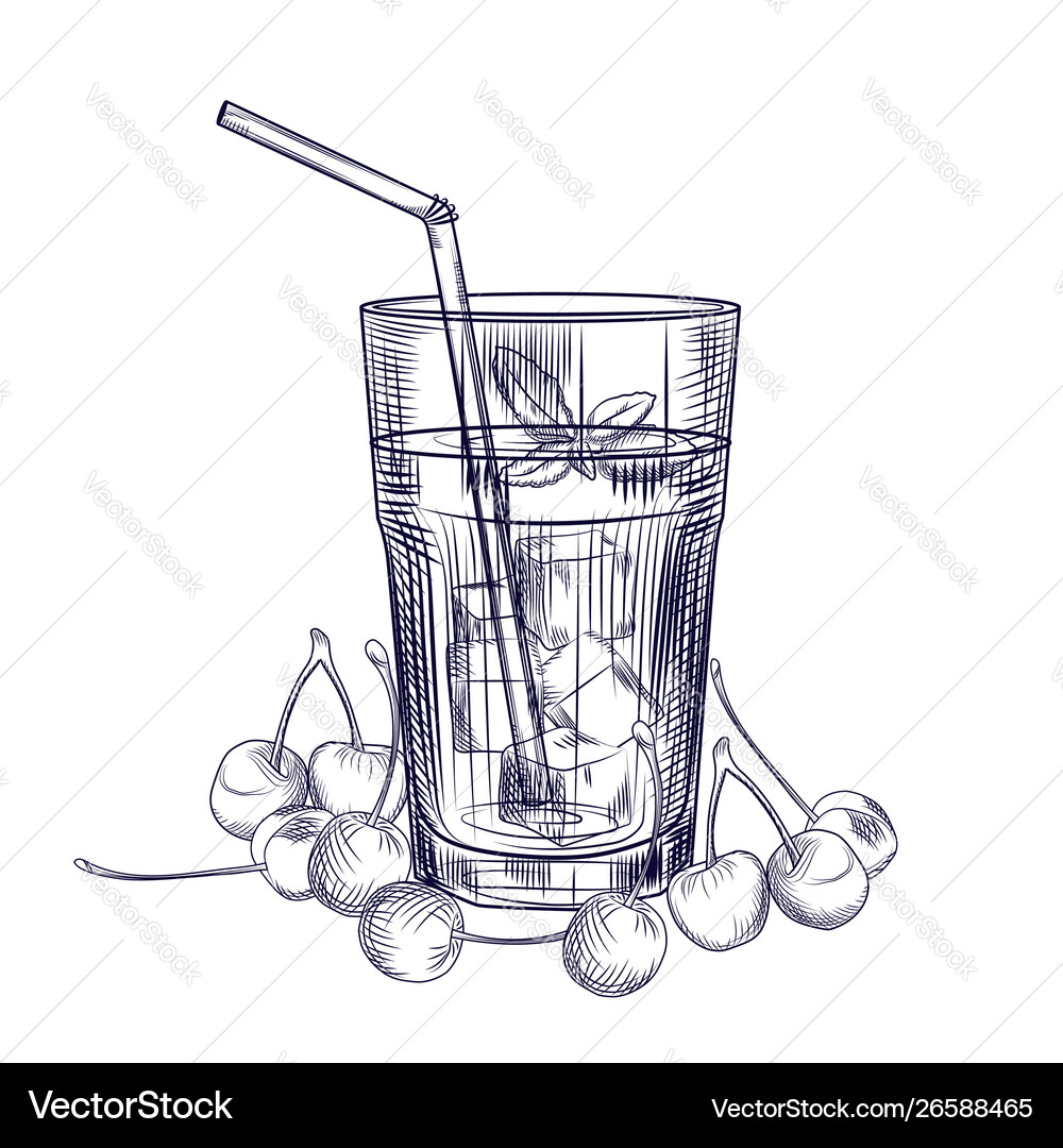Cherries fruit cocktail sketch cherry juice Vector Image
