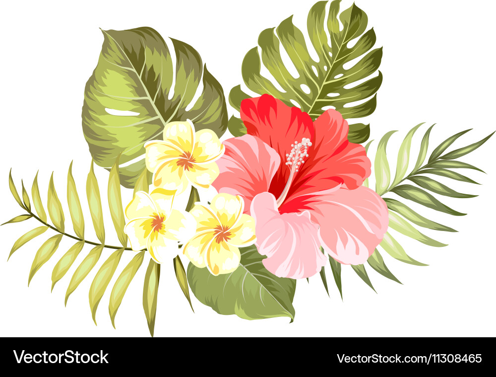 Floral garland card Royalty Free Vector Image - VectorStock
