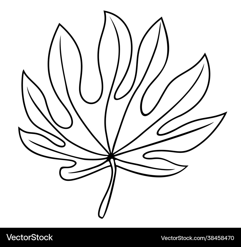 Leaf icon with hand drawn lines perfect for home Vector Image