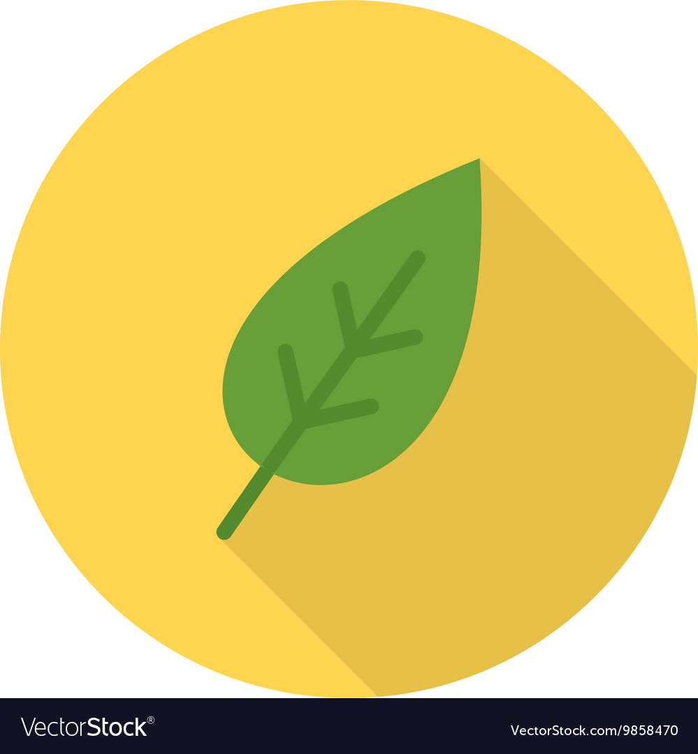 Leaf Royalty Free Vector Image - VectorStock
