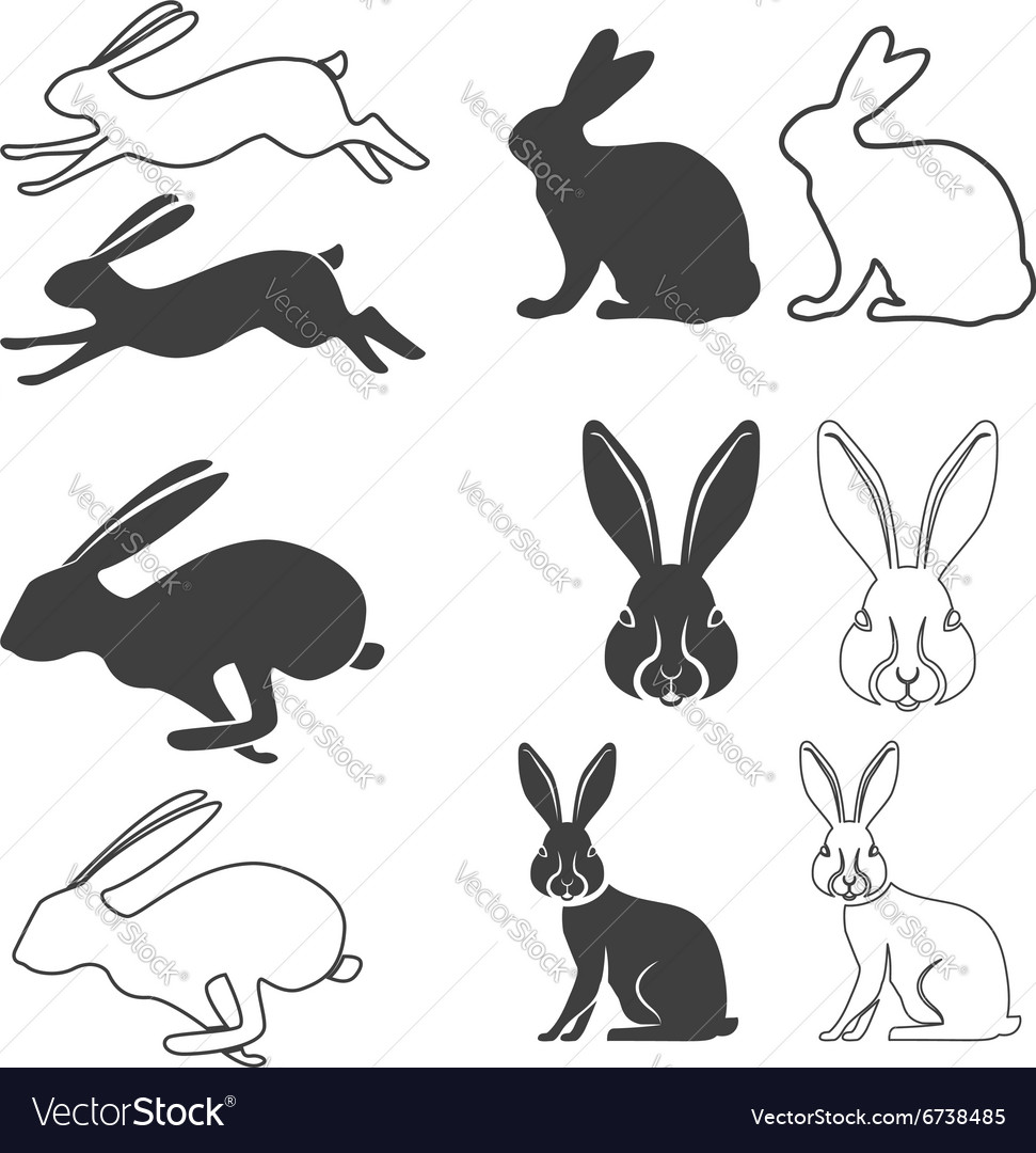 Hare Royalty Free Vector Image - VectorStock