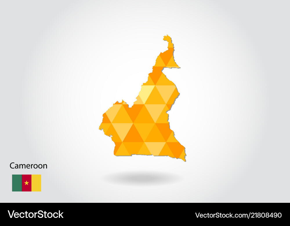 Geometric polygonal style map of cameroon low Vector Image