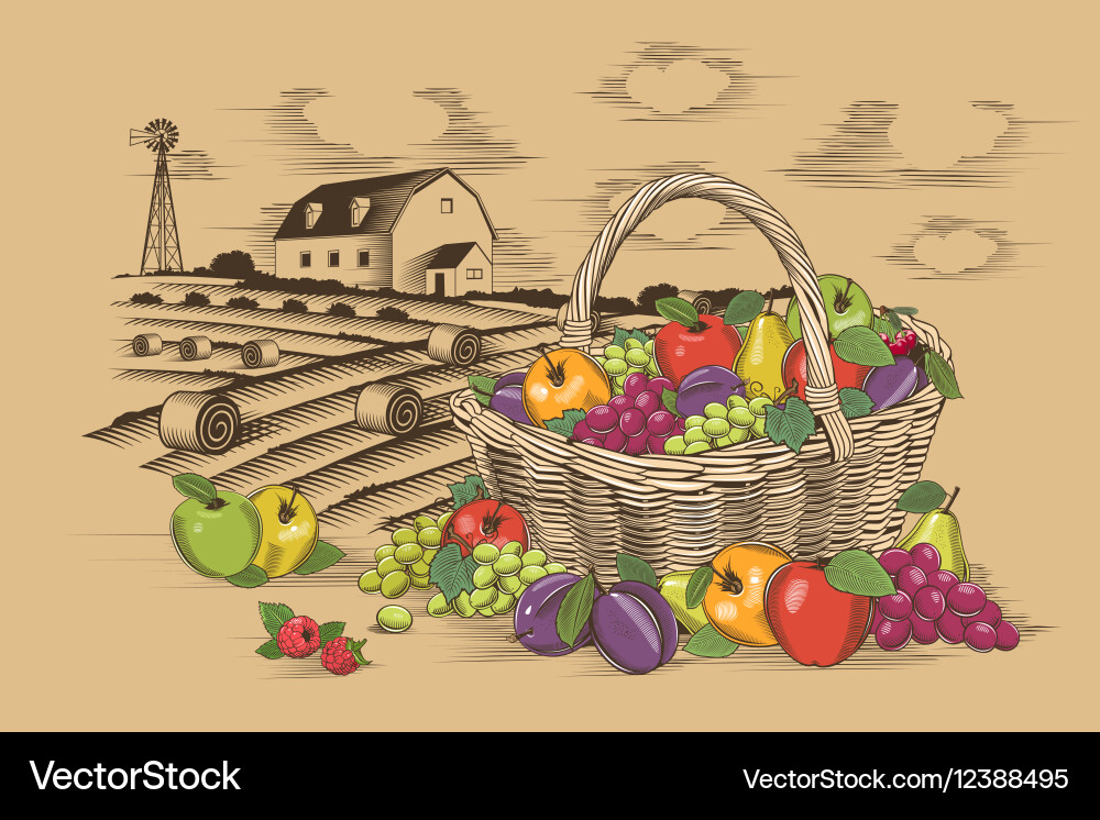 Fruits basket and farm Royalty Free Vector Image