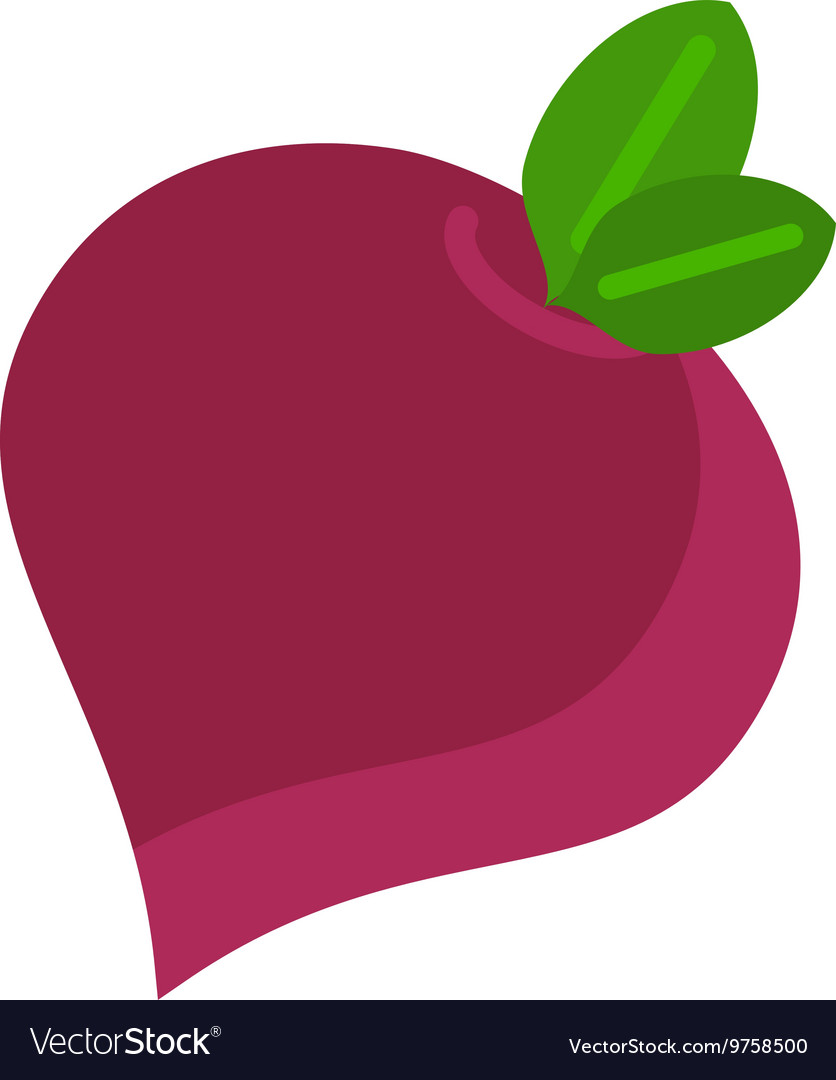 Beet Royalty Free Vector Image - VectorStock