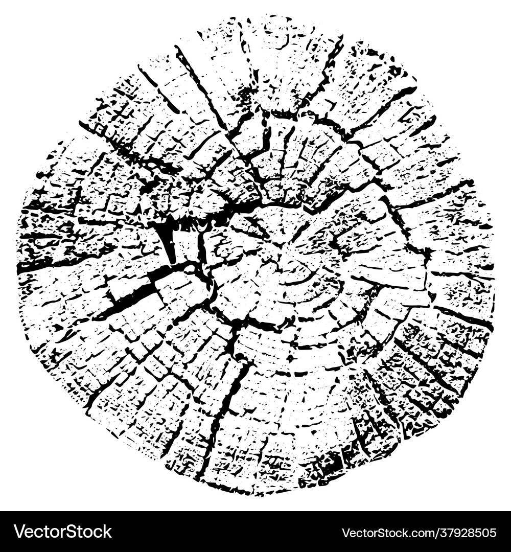 Tree growth rings natural cut wood Royalty Free Vector Image