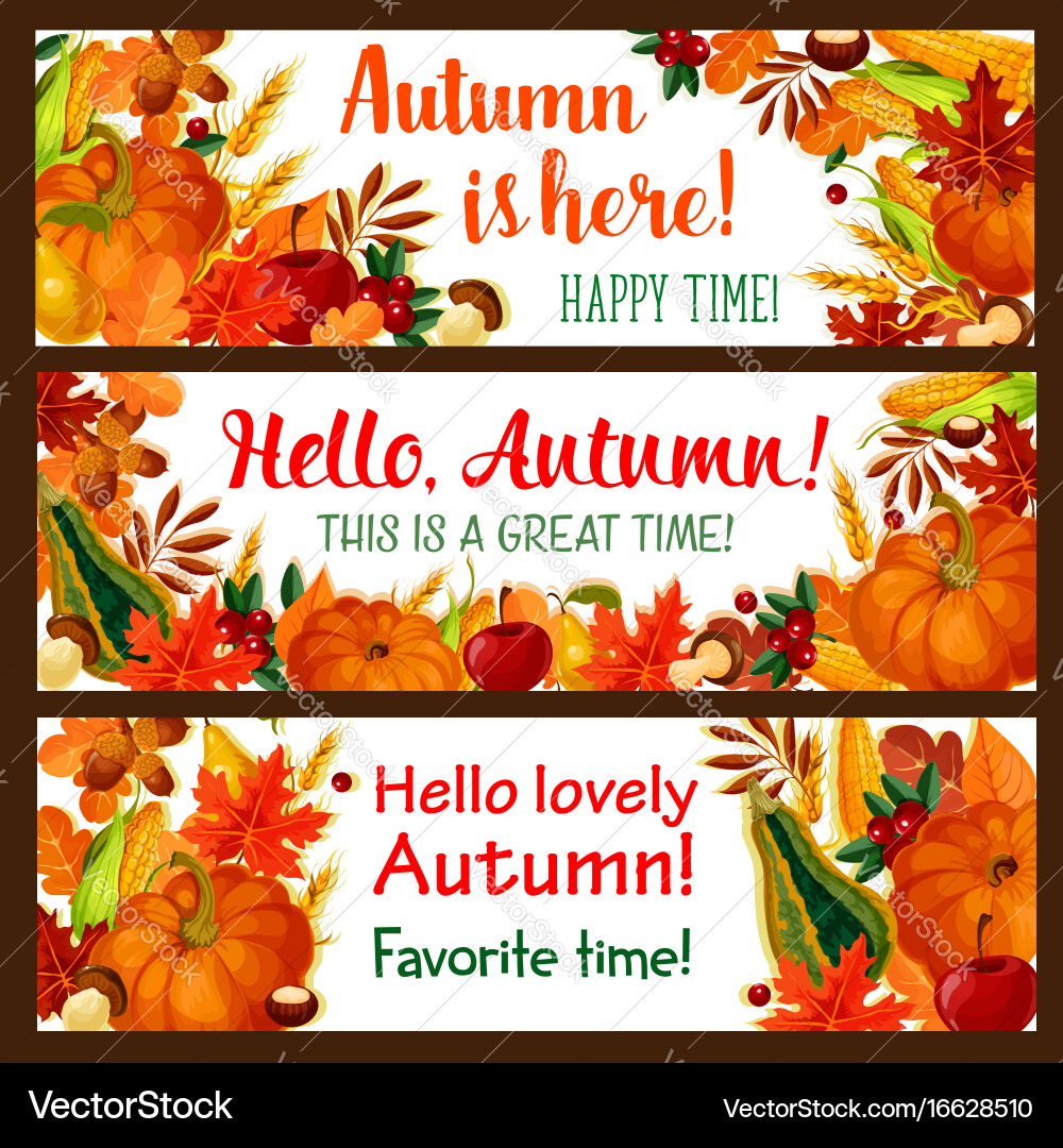 Hello autumn banner set fall nature season Vector Image
