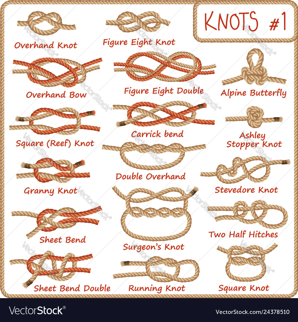 Set rope knots hitches bows bends Royalty Free Vector Image