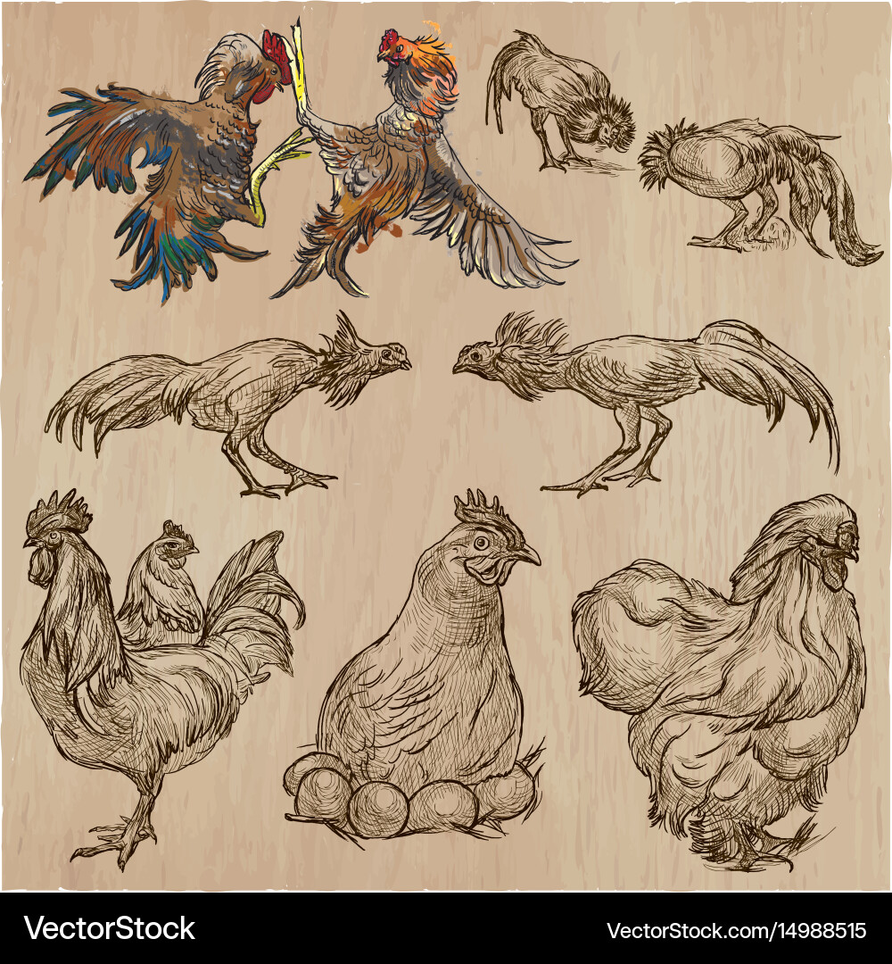 Poultry - an hand drawn pack freehand sketching Vector Image