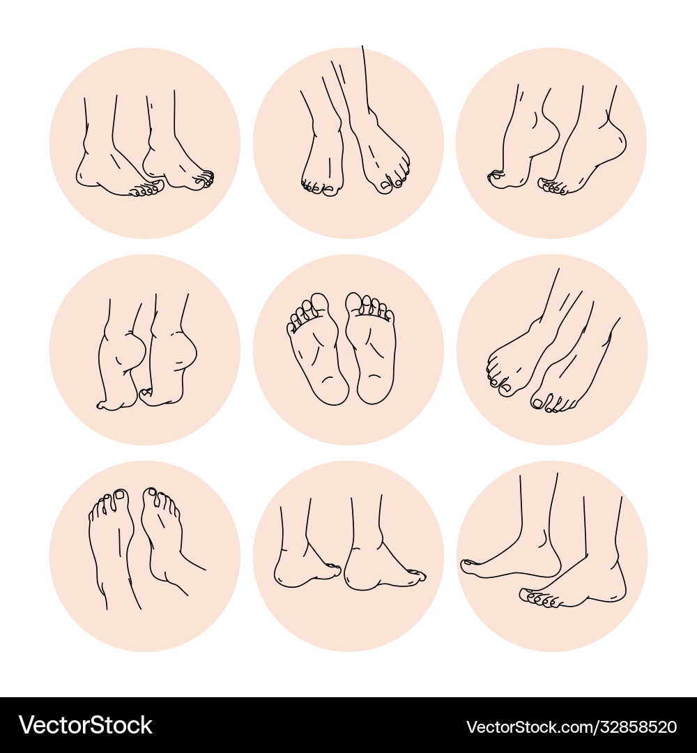 Woman foot Royalty Free Vector Image - VectorStock