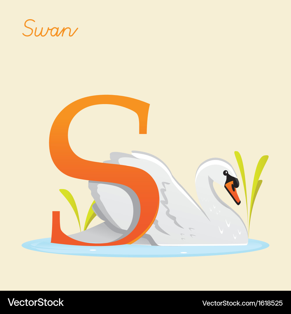 Animal alphabet with swan Royalty Free Vector Image