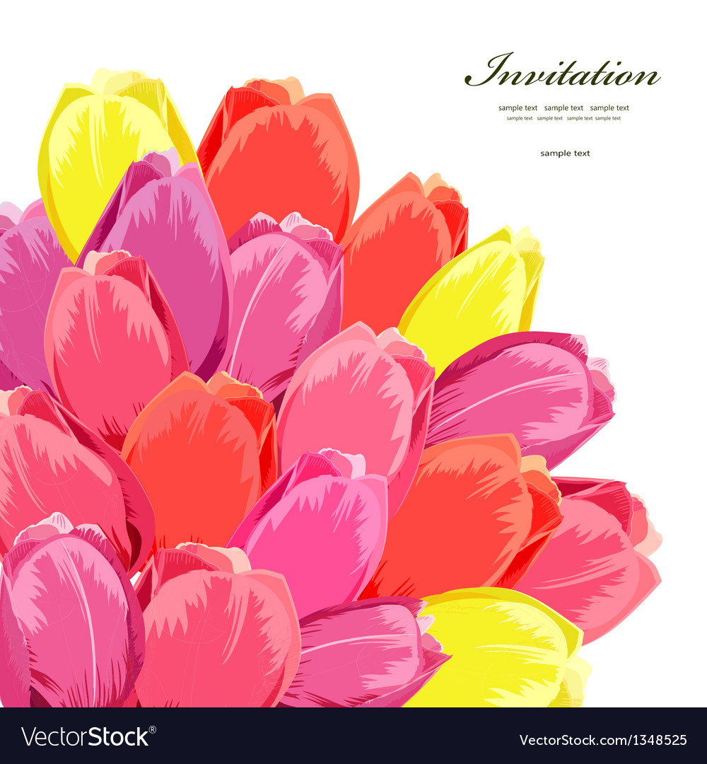 Tulip Royalty Free Vector Image - VectorStock