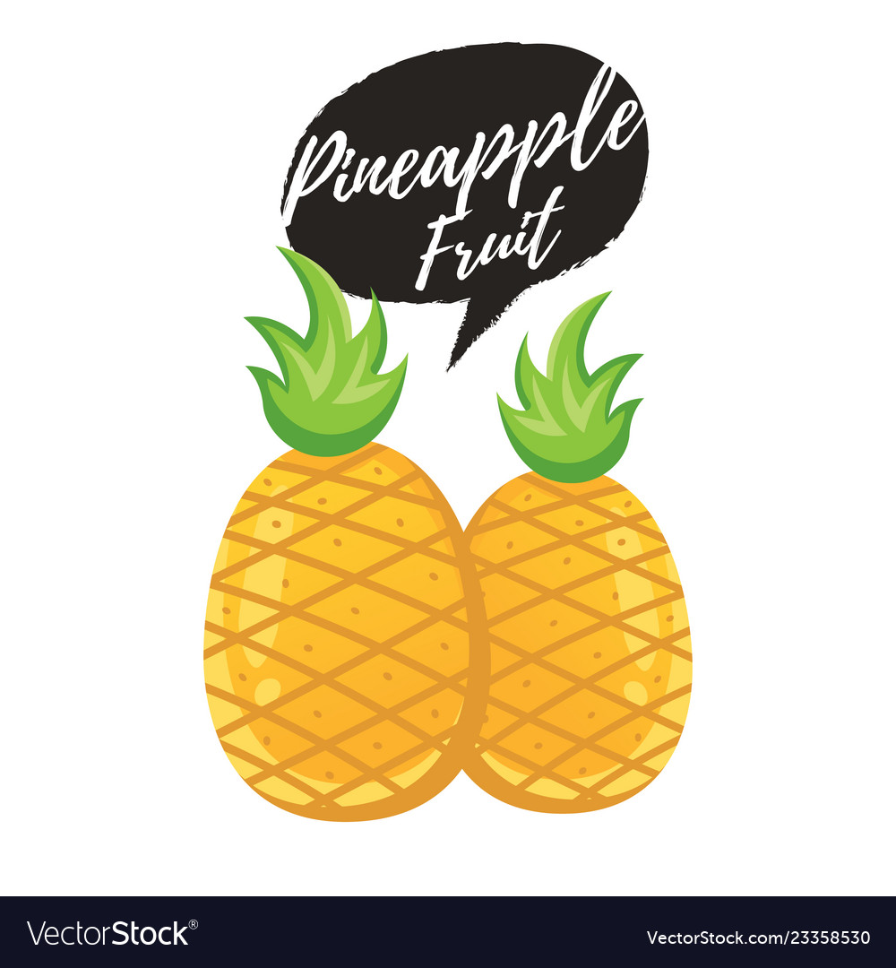 Pineapple tropical sweet summer fruit Royalty Free Vector