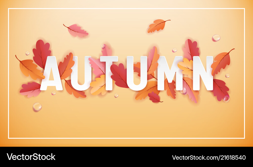 Autumn background template with beautiful leaves Vector Image