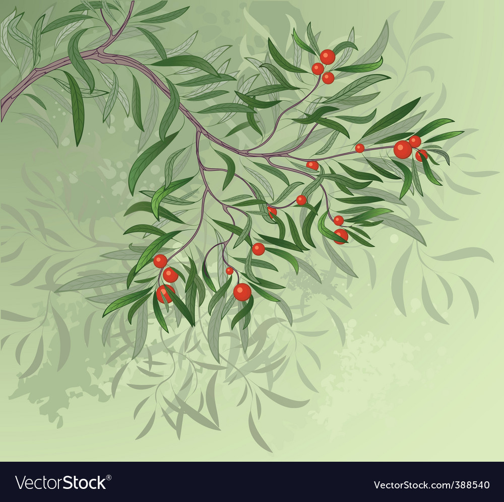 Branch Royalty Free Vector Image - VectorStock