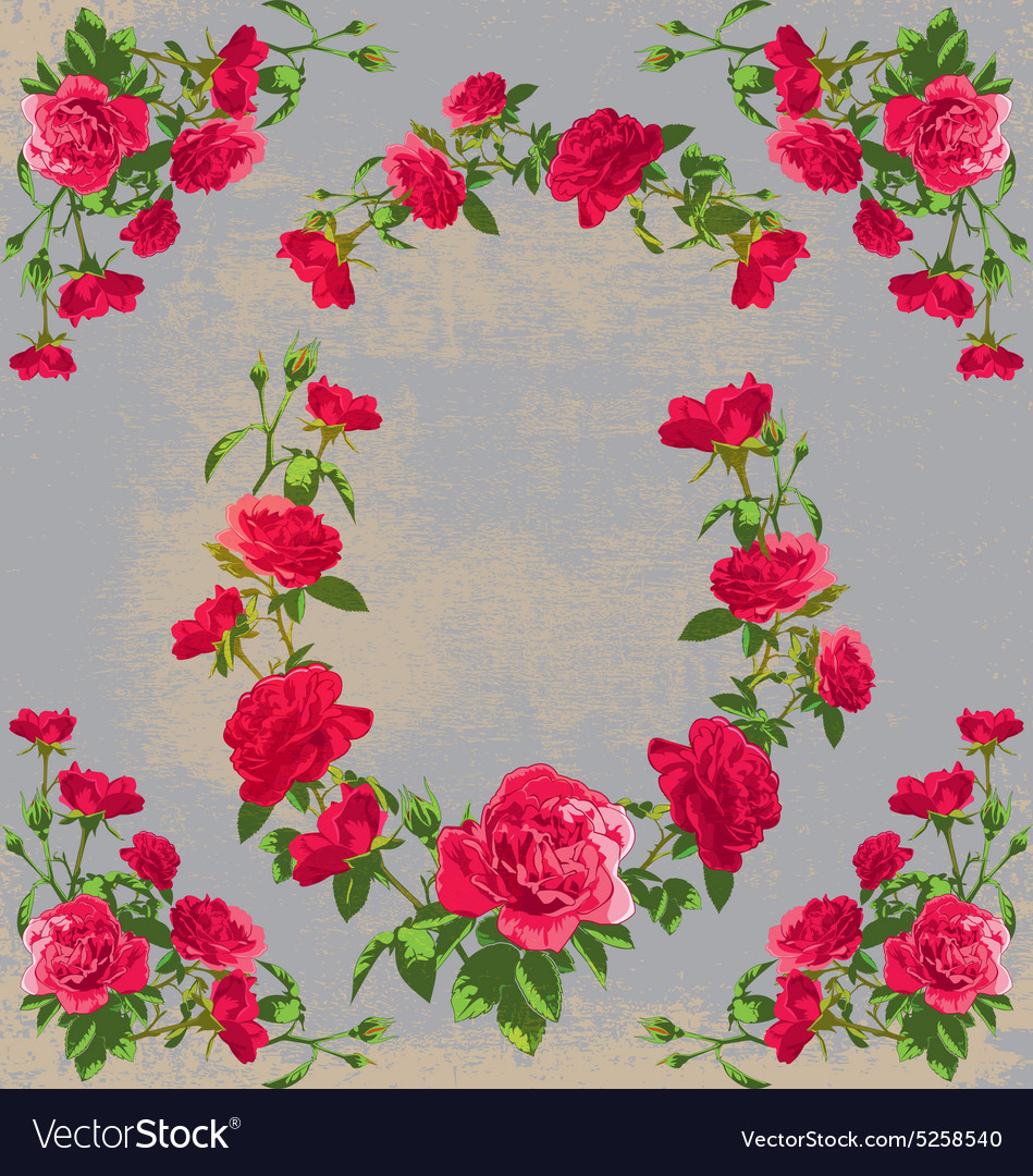Roses Royalty Free Vector Image - VectorStock