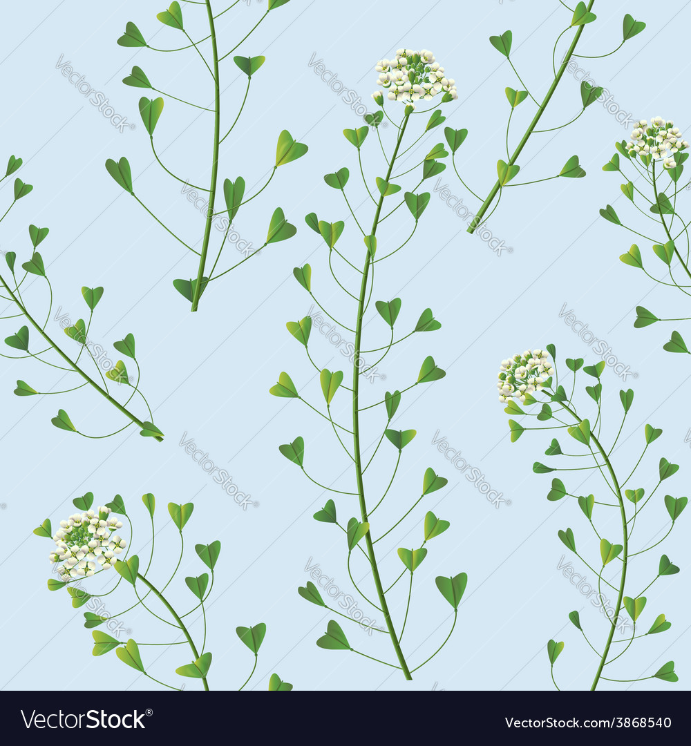 Weed pattern Royalty Free Vector Image - VectorStock
