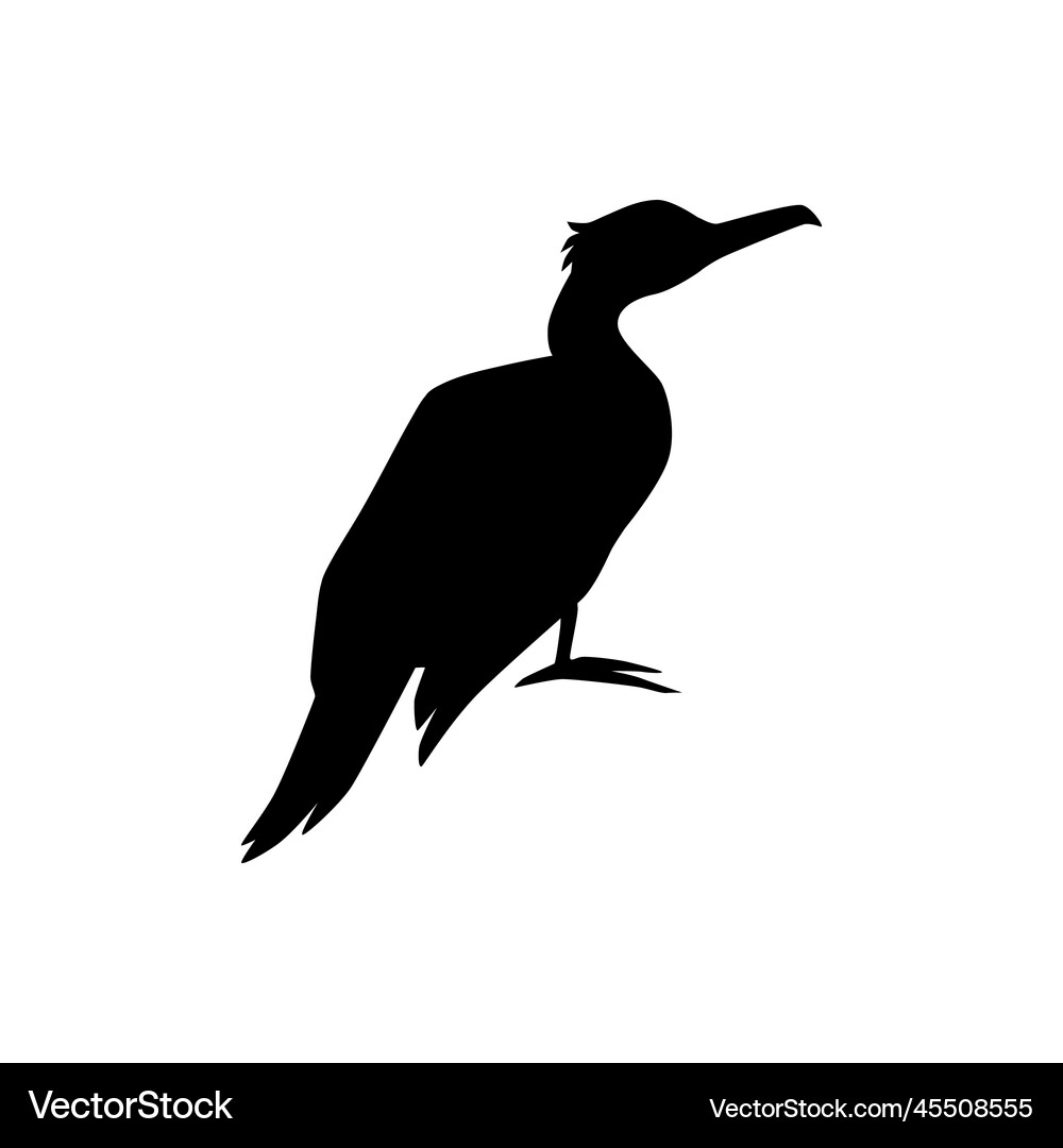 Cormorant or shag black silhouette flat Royalty Free Vector