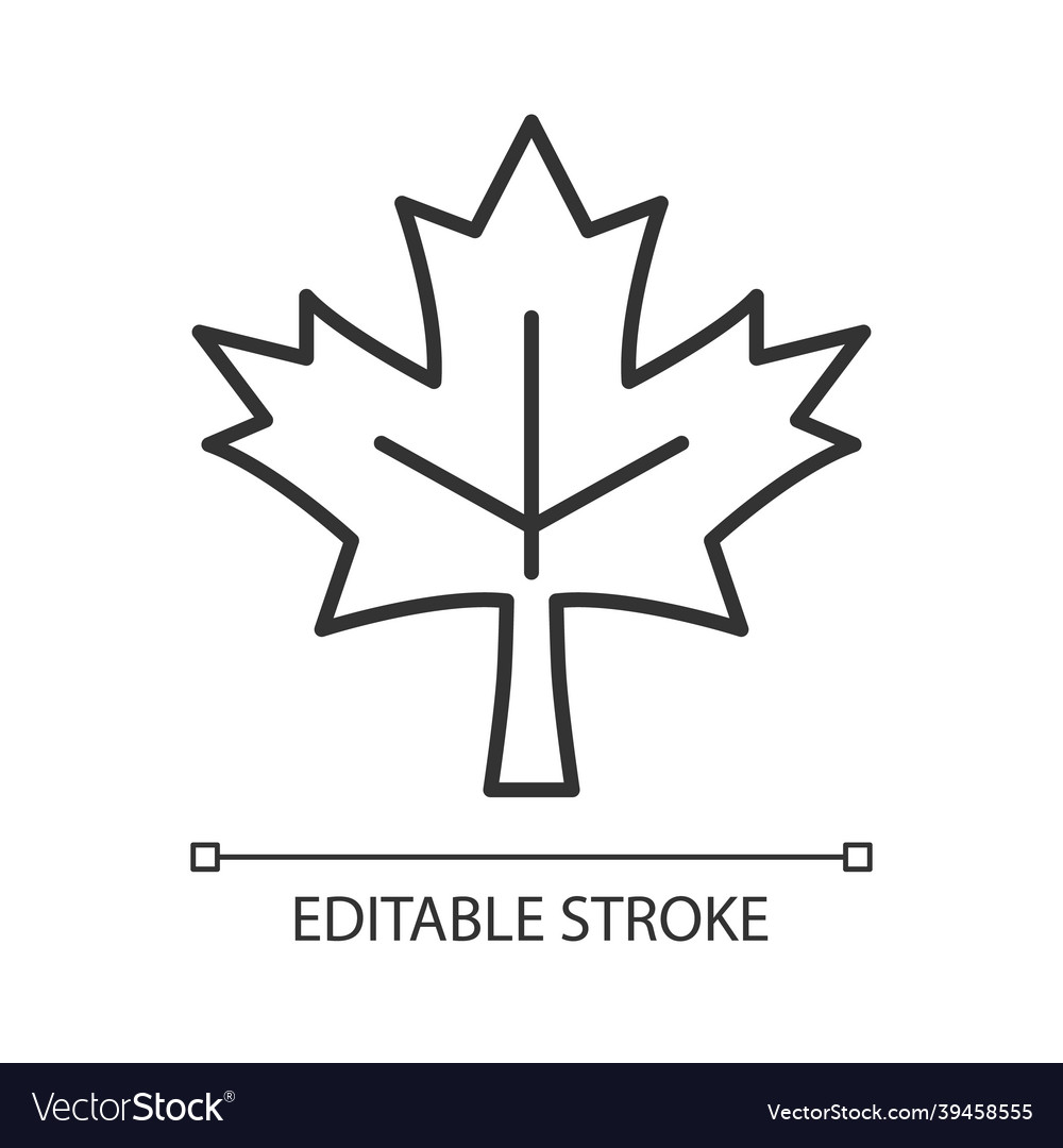 Maple leaf linear icon Royalty Free Vector Image