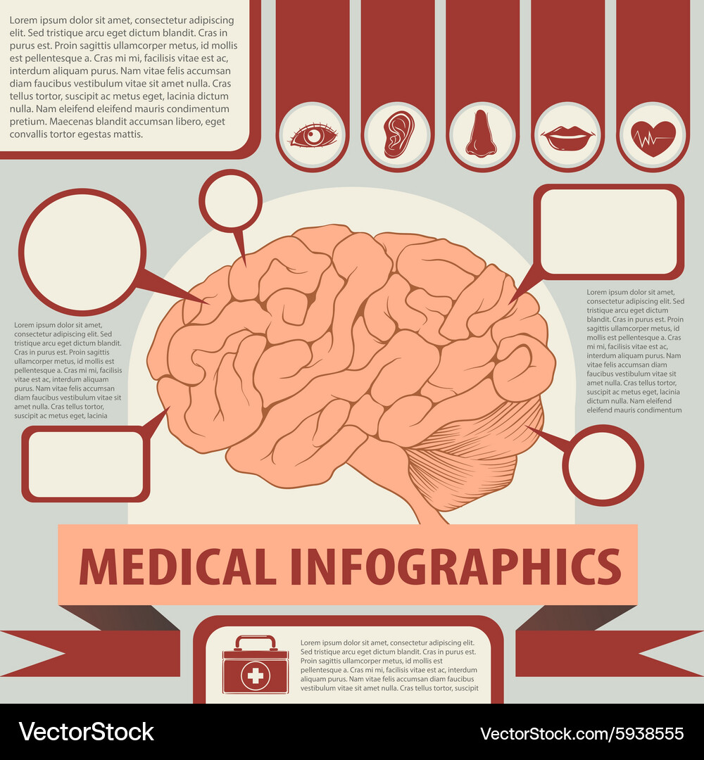 Medical infographics with brain and text Vector Image