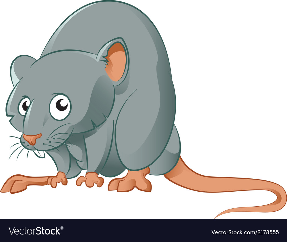 Mouse Royalty Free Vector Image - VectorStock
