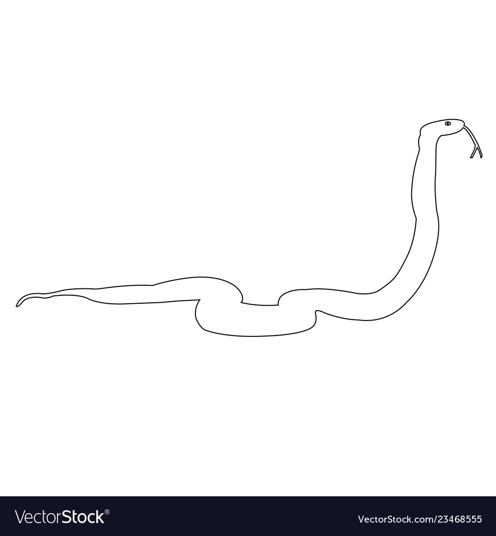 Snake outline icon eps Royalty Free Vector Image
