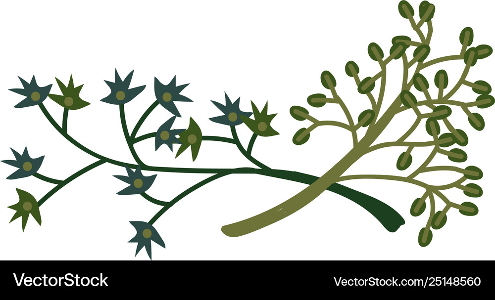 Green twigs natural design element for wedding Vector Image