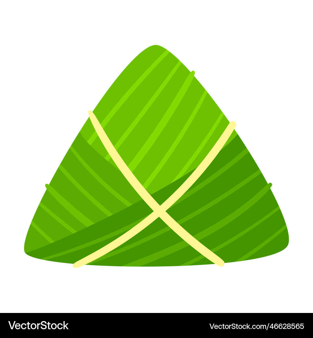 Wrapped rice dumpling duanwu holiday chinese Vector Image
