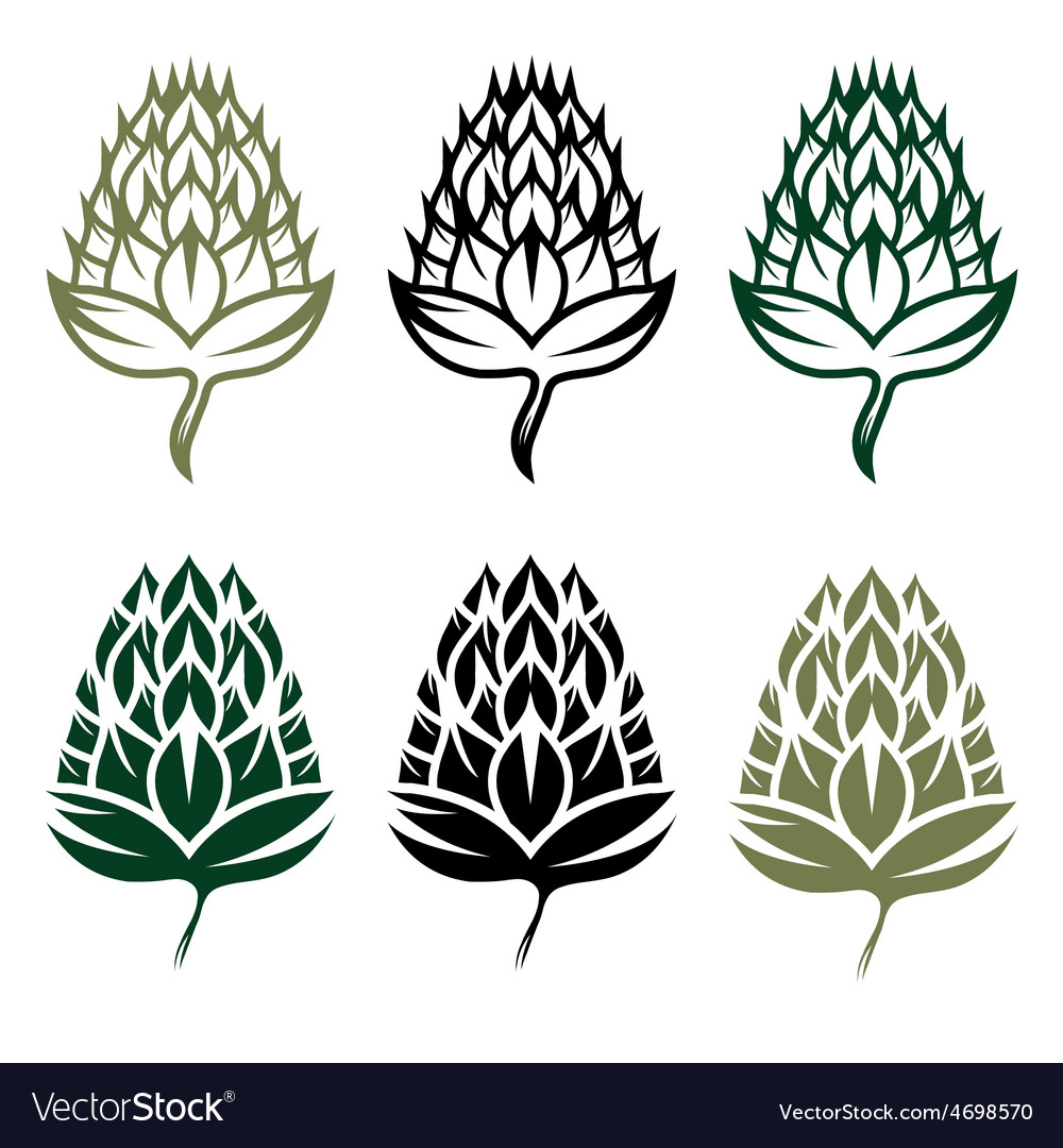 Hops design template Royalty Free Vector Image