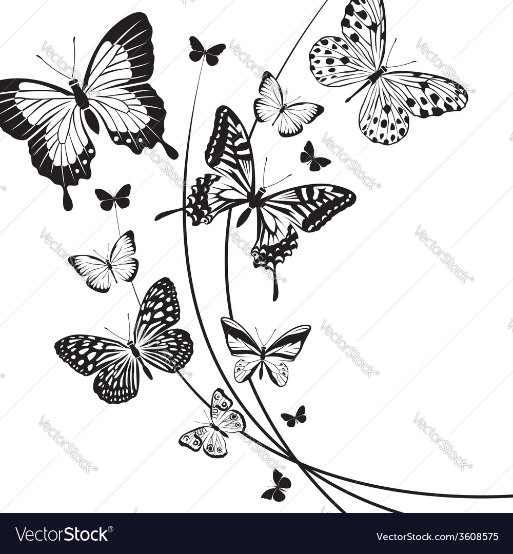 Butterfly pattern Royalty Free Vector Image - VectorStock