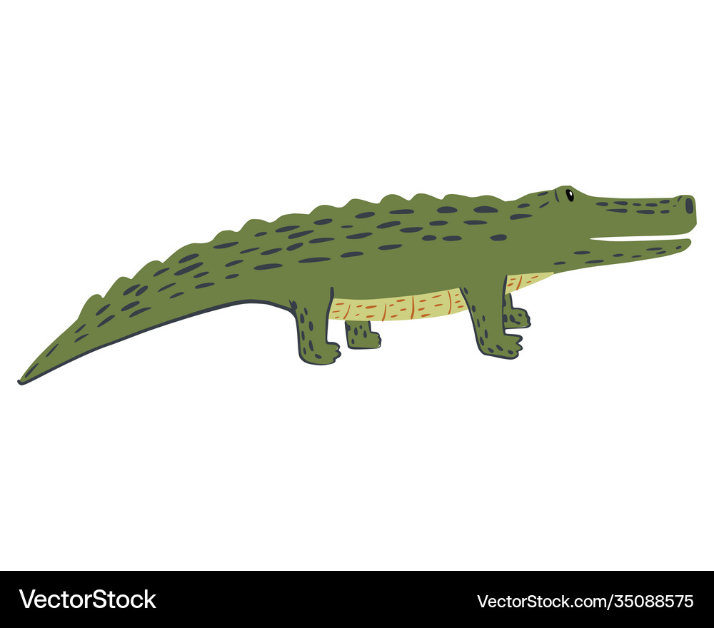 Crocodile on four paws isolated on white Vector Image