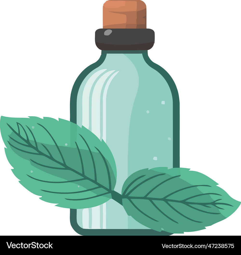 Organic herbal medicine bottle with leafs Vector Image