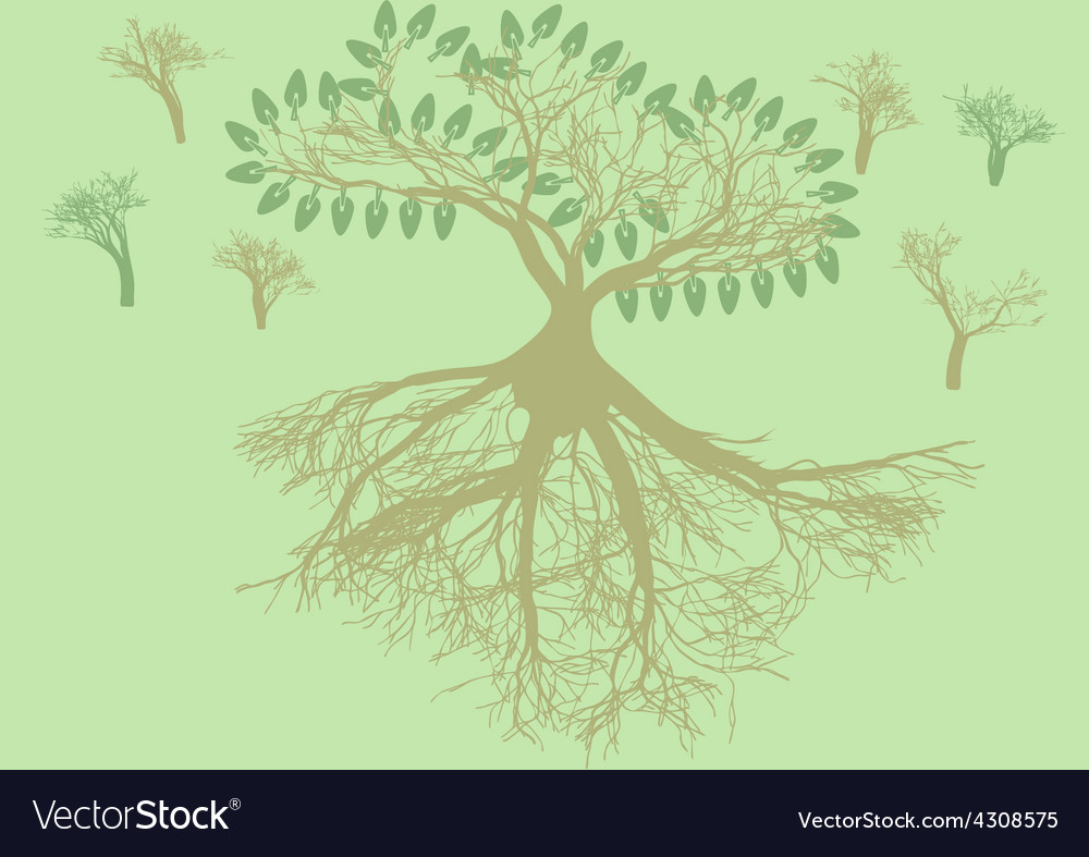 Root system Royalty Free Vector Image - VectorStock