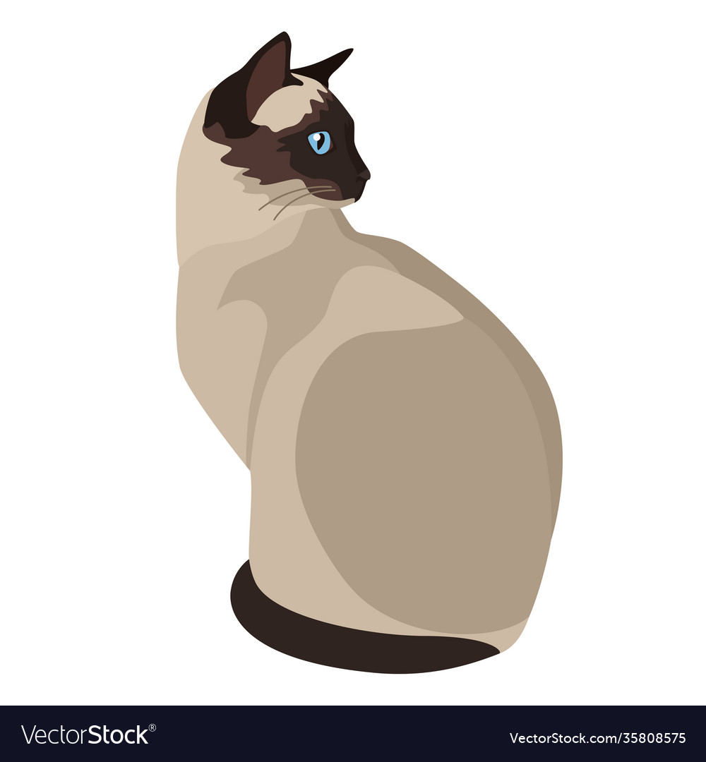 Siamese cat flat isolated object Royalty Free Vector Image