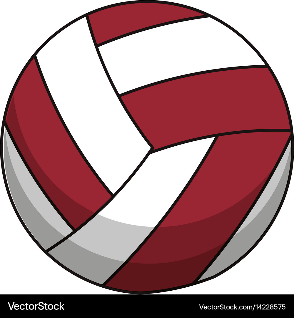 Volleyball ball sport image Royalty Free Vector Image