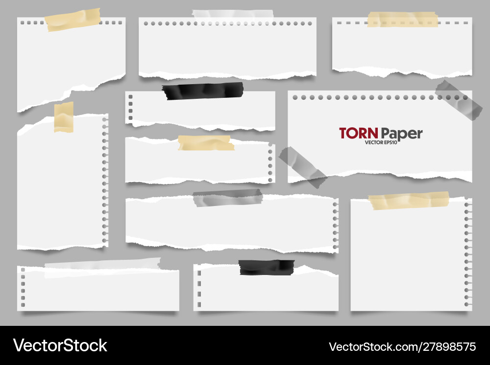 White ripped paper strips collection realistic Vector Image